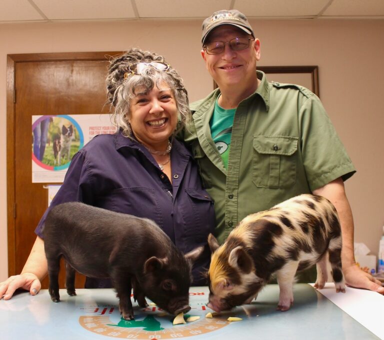 March Pet Holidays to Celebrate | Winterset Veterinary Center